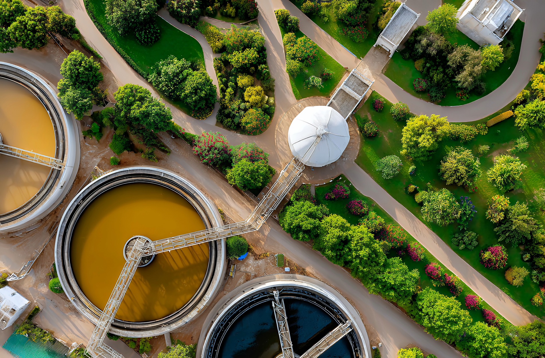 AI Solutions for Advanced Vegetation Management